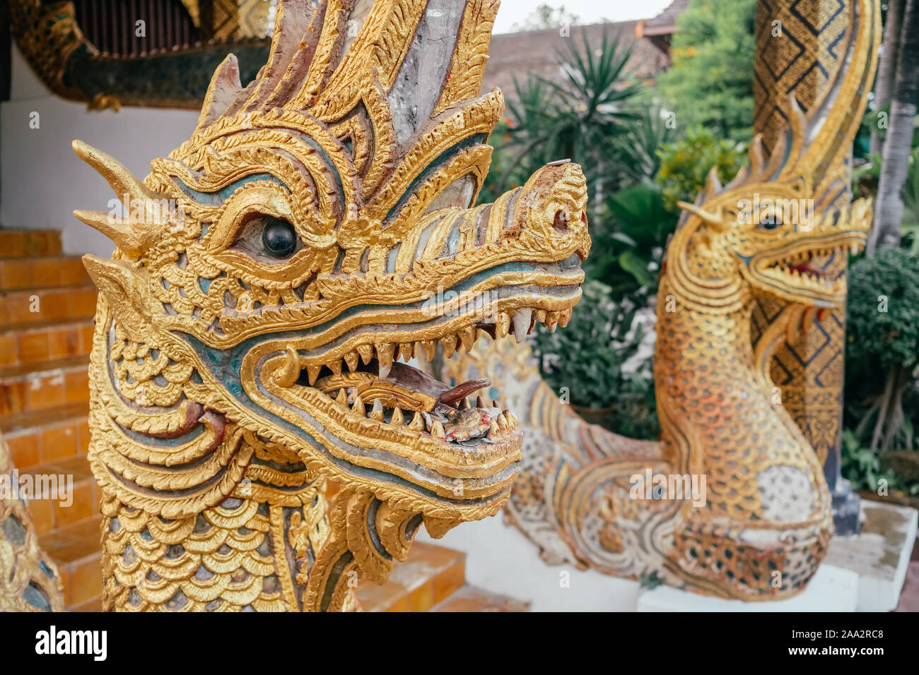 Dragon guard statue at the thai buddhist temple entrance Stock Photo ...