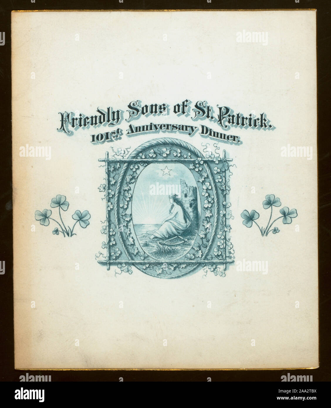 MENU ON ONE CARD;TOASTS ON 2 CARDS & SEATING PLAN ON PRINTED PAPER ...