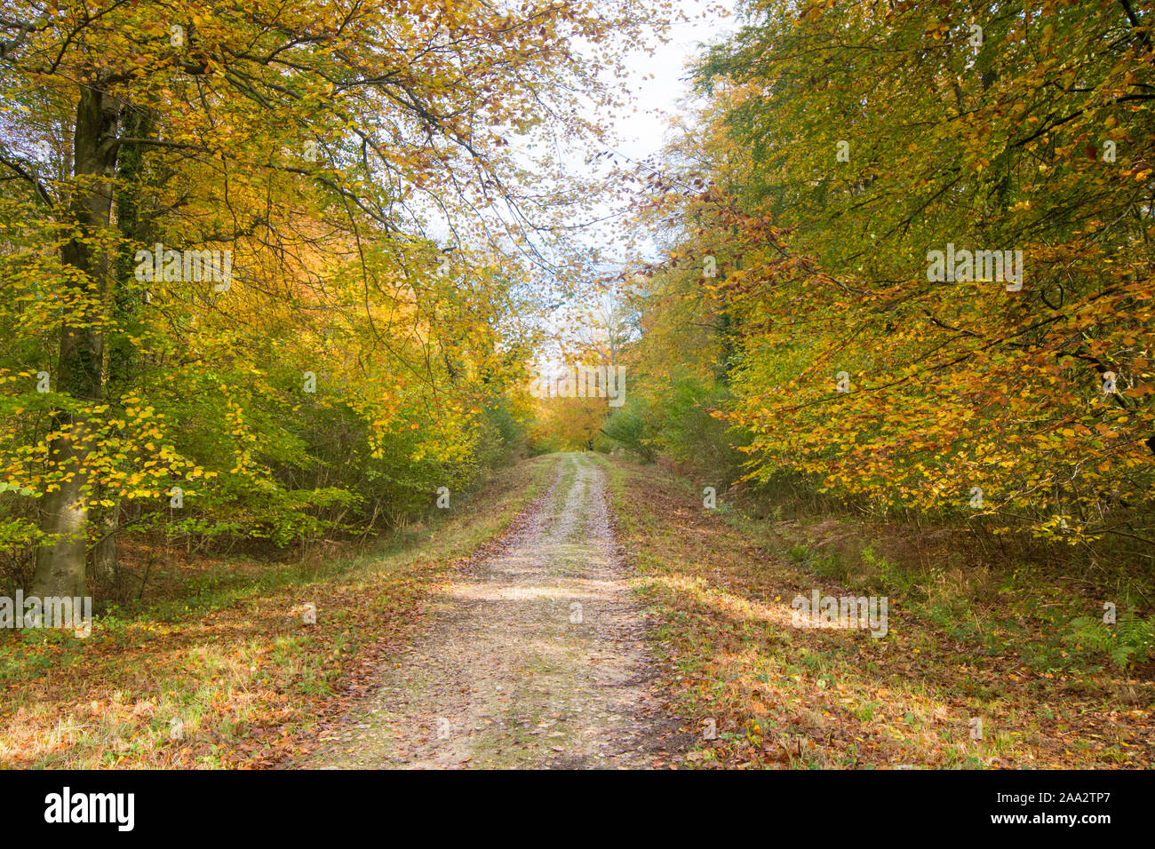 Stane street hi-res stock photography and images - Alamy
