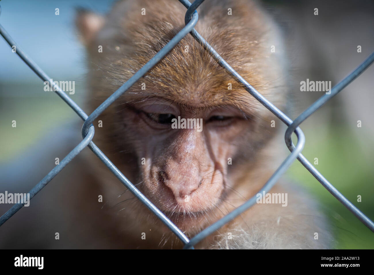 Ebbs hi-res stock photography and images - Alamy