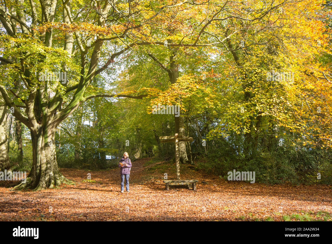 Road sign uk history hi-res stock photography and images - Alamy