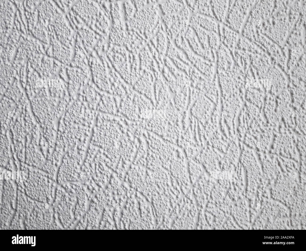 Paper texture. White color paper background for design. Monochrome ...