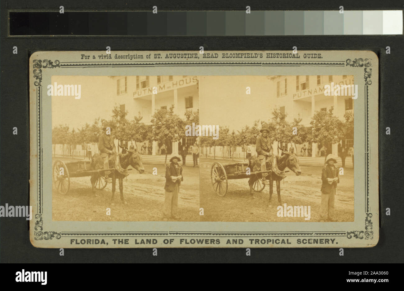 Darkeys hi-res stock photography and images - Alamy