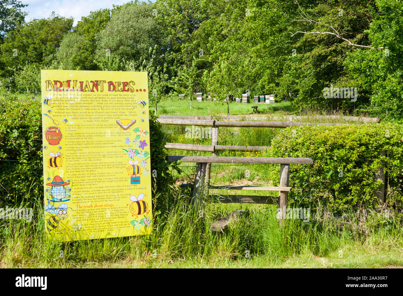 Rare breeds centre, bees, bee hives, woodchurch, ashford, kent, uk ...