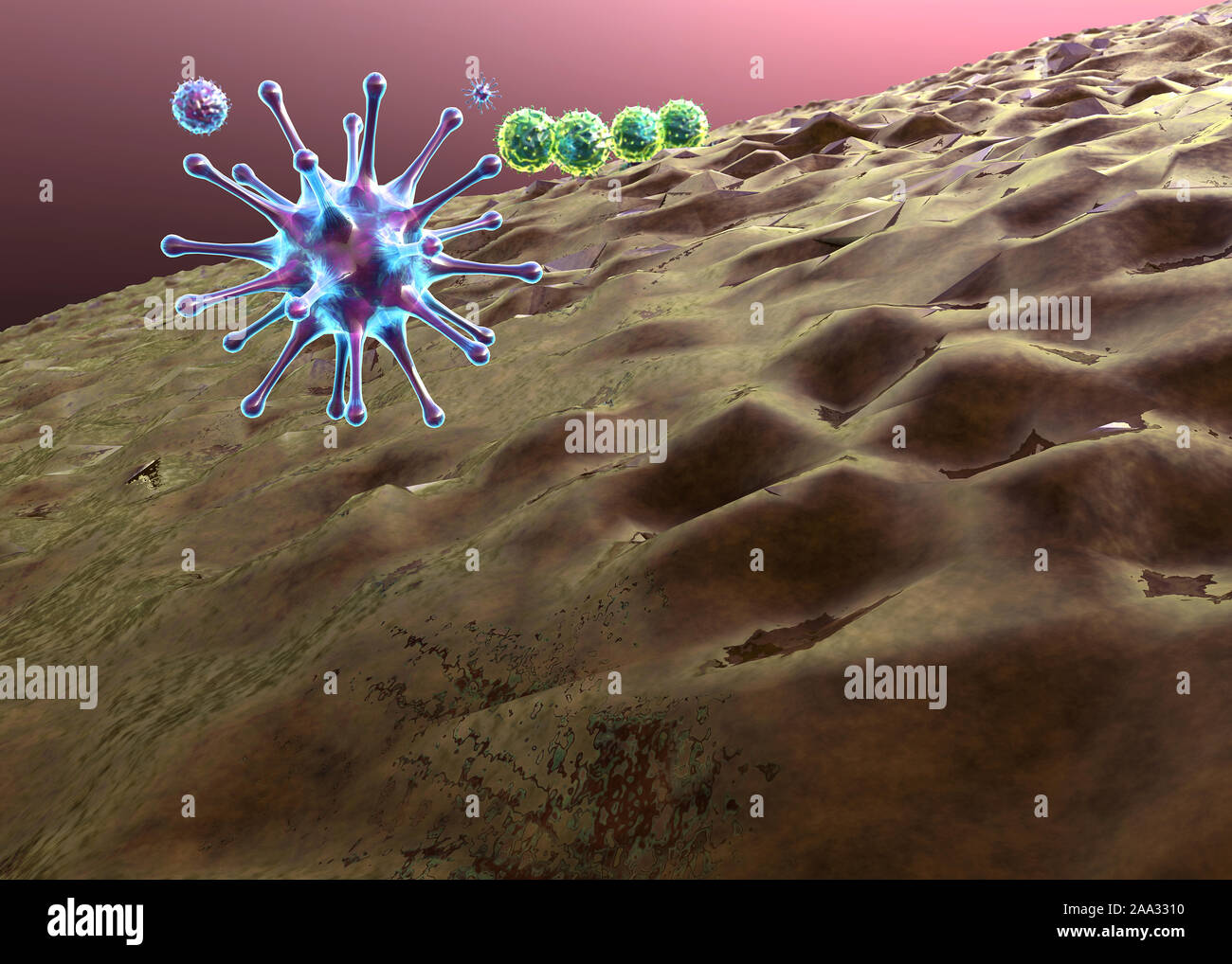 phagocyte kills viruses, inside the human body, medical 3D graphics ...