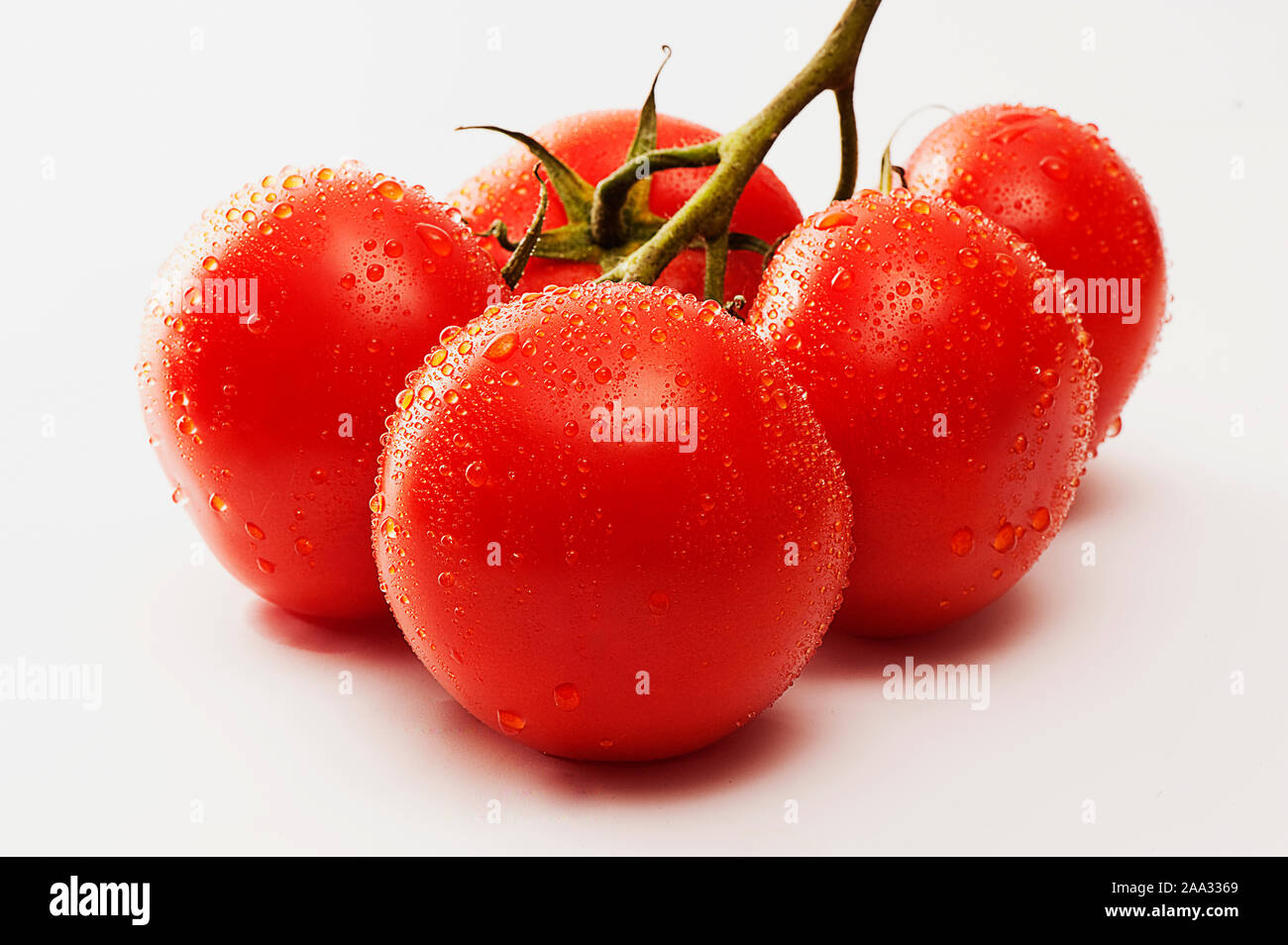 Five tomatoes on white background Stock Photo - Alamy