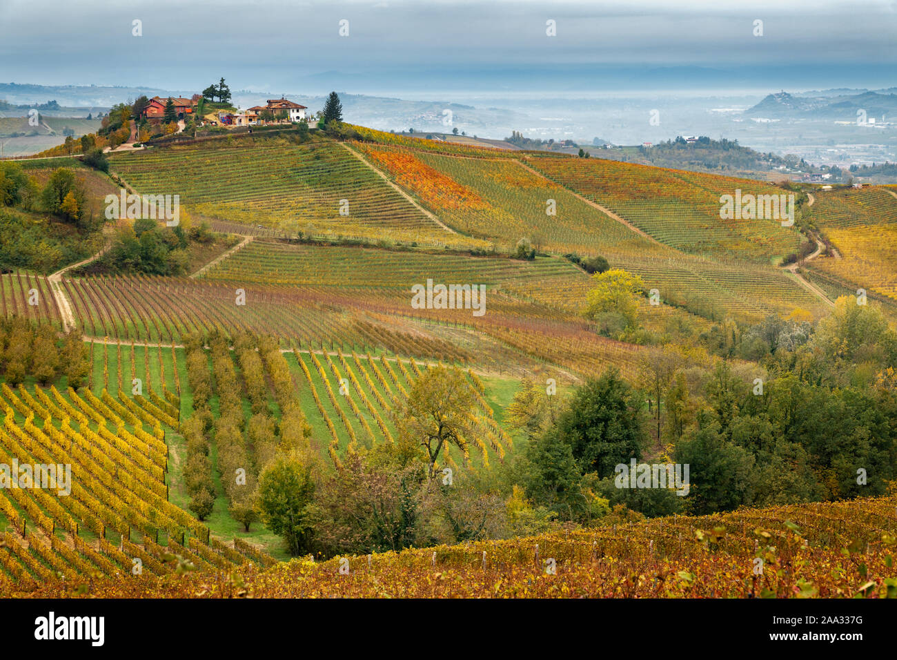 Treiso italy hi-res stock photography and images - Alamy
