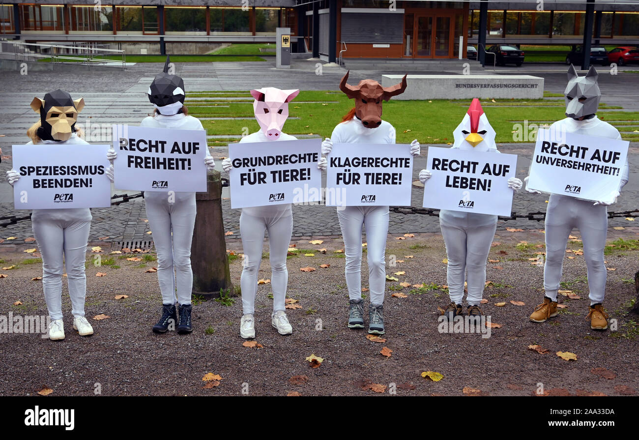 Karlsruhe, Germany. 19th Nov, 2019. Activists of the animal rights ...