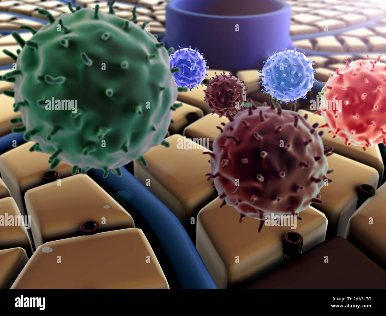 Human Immune System, liver cells, liver disease, liver structure ...