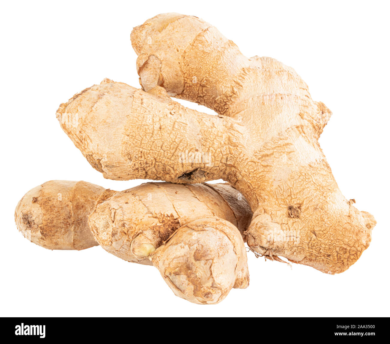 Ginger Isolated on white background Clipping Path Stock Photo - Alamy