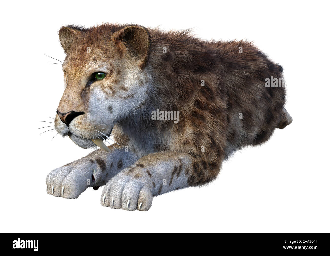 3D rendering of a sabertooth tiger isolated on white background Stock ...