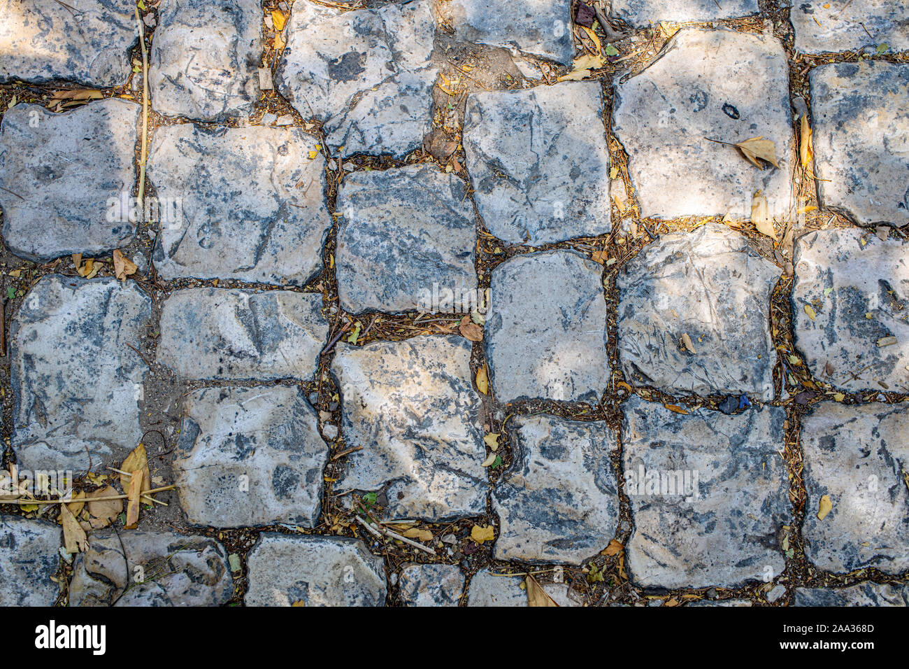 Old stone road of blue-gray stone and yellow leaves Stock Photo - Alamy