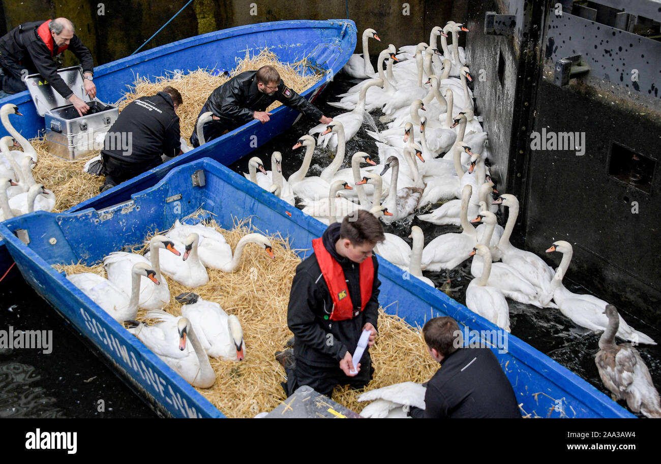 Hamburg, Germany. 19th Nov, 2019. Olaf Nieß (above, right), Hamburg's ...