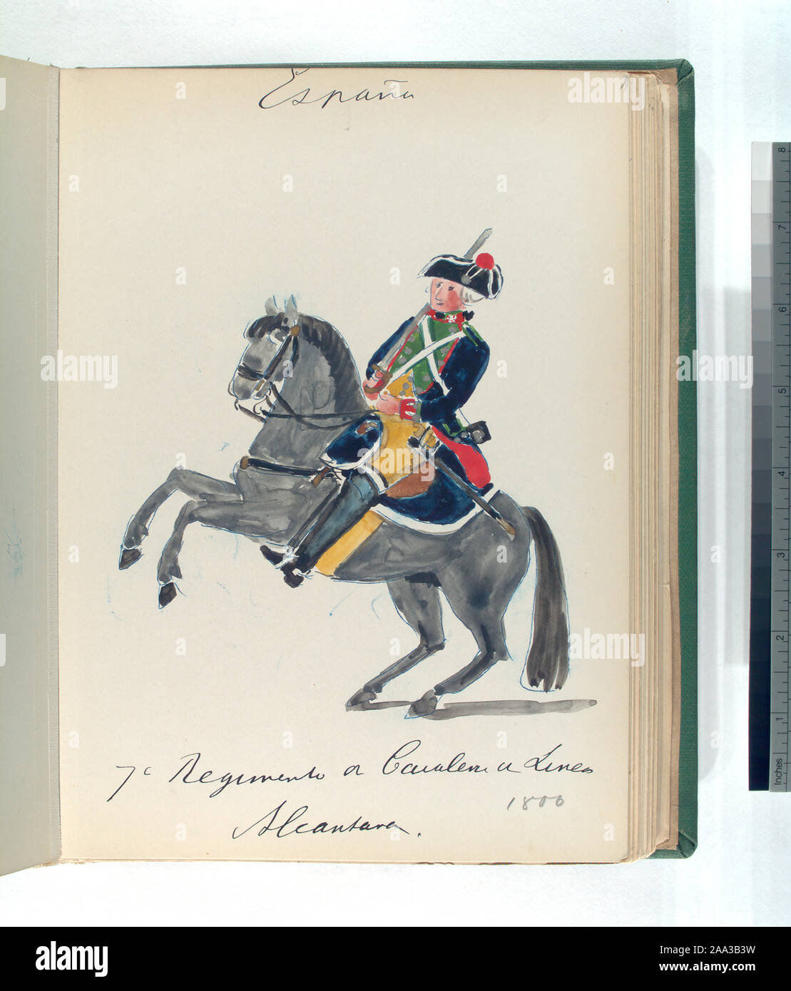 Draper Fund; 7-o Regimento de Cavaleria di Linea ALCANTARA (1806 Stock ...
