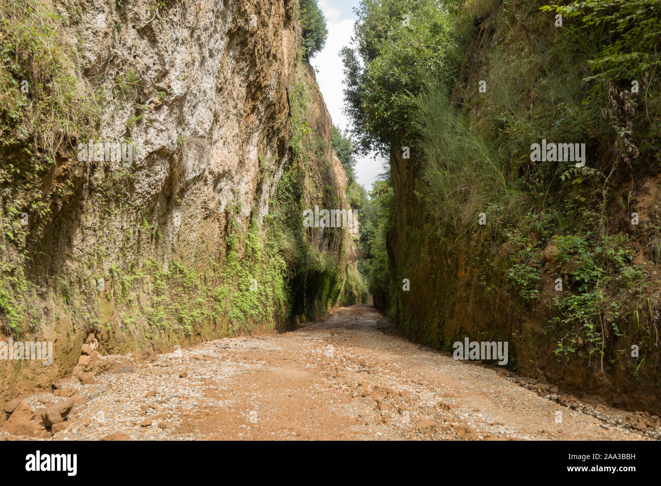 Etruscan Via Cava, one of the long trench dug into the tuff rock that ...
