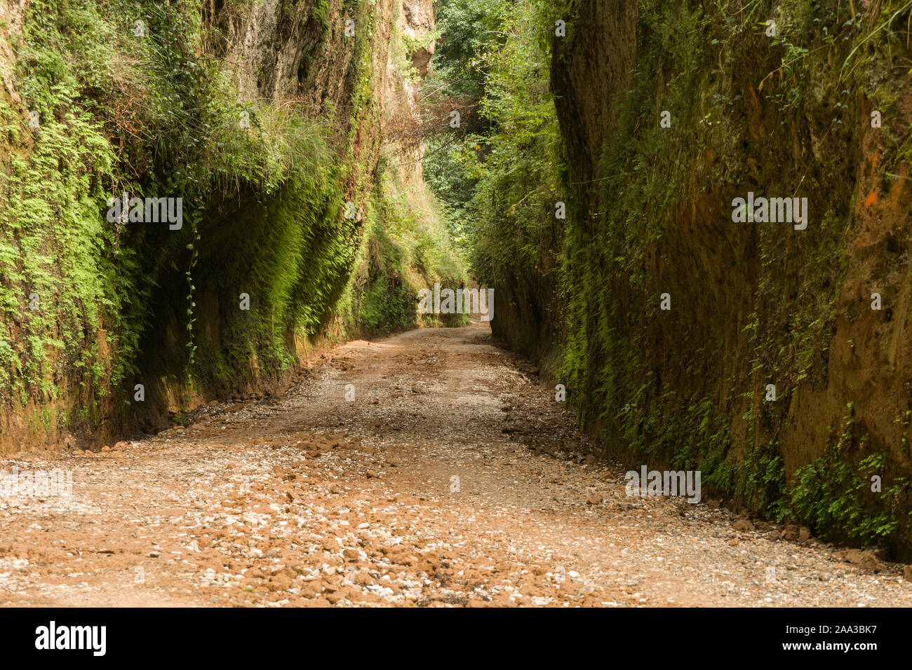 Trench archeology hi-res stock photography and images - Alamy