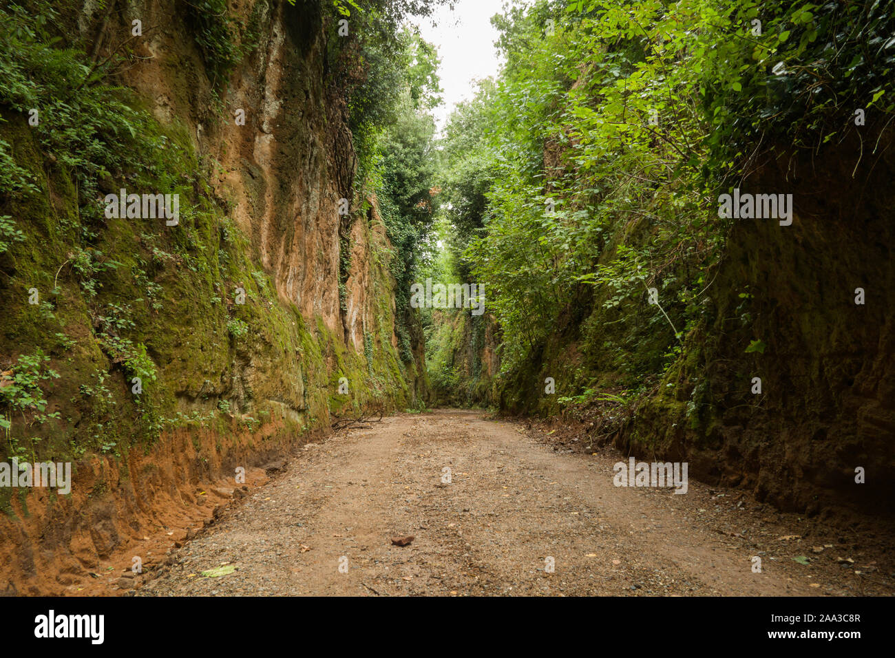 Etruscan Via Cava, one of the long trench dug into the tuff rock that ...