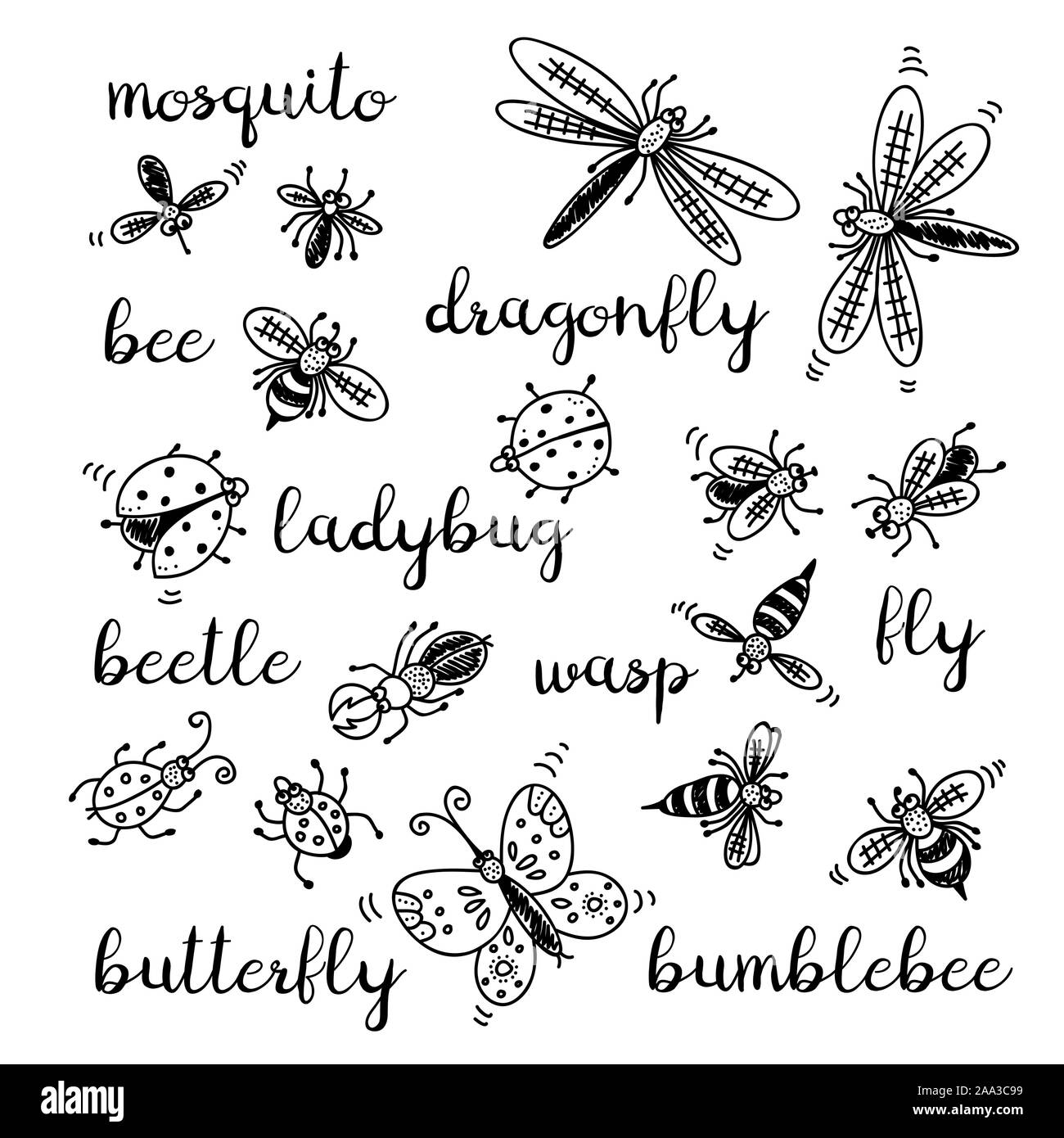 Insects doodle set, vector collection isolated on white background ...
