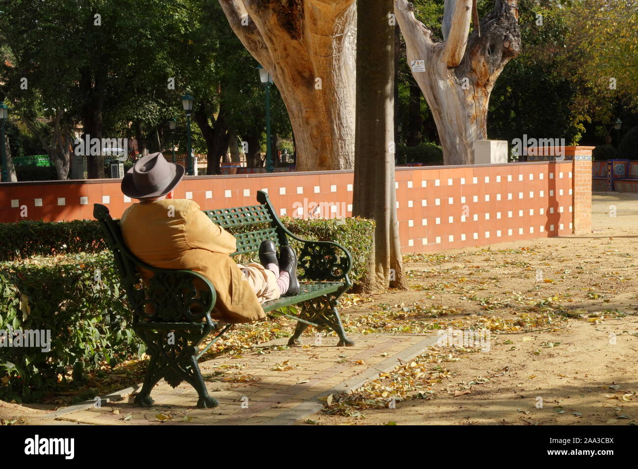 Man sunbathing in park hi-res stock photography and images - Alamy