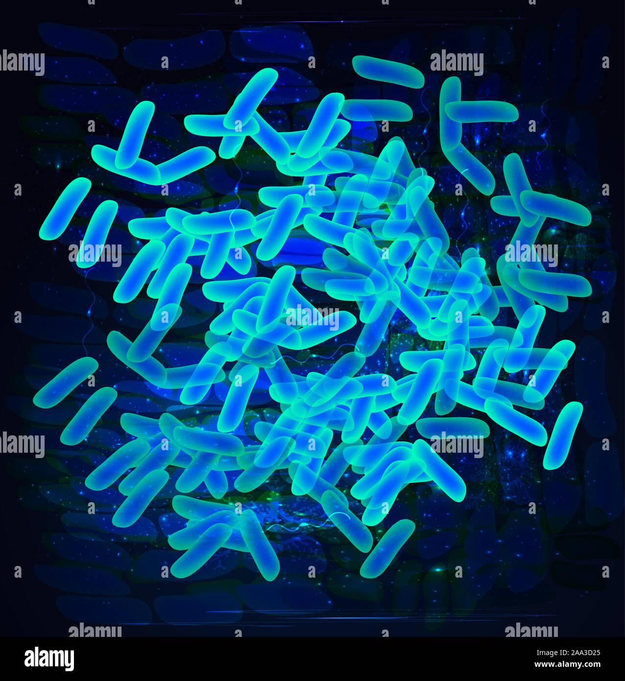 Background blue lactobacillus, bifidobacteria, probiotic, prebiotic ...