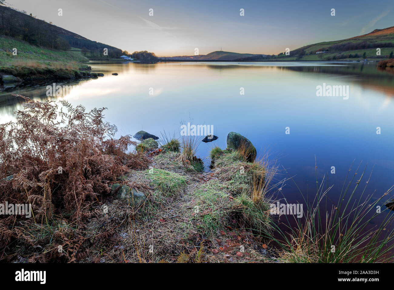 Rock dove uk hi-res stock photography and images - Alamy