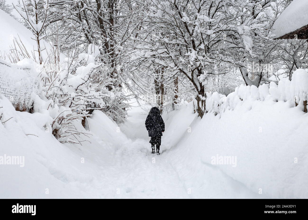 winter snowdrifts street in village or country, cold season weather ...