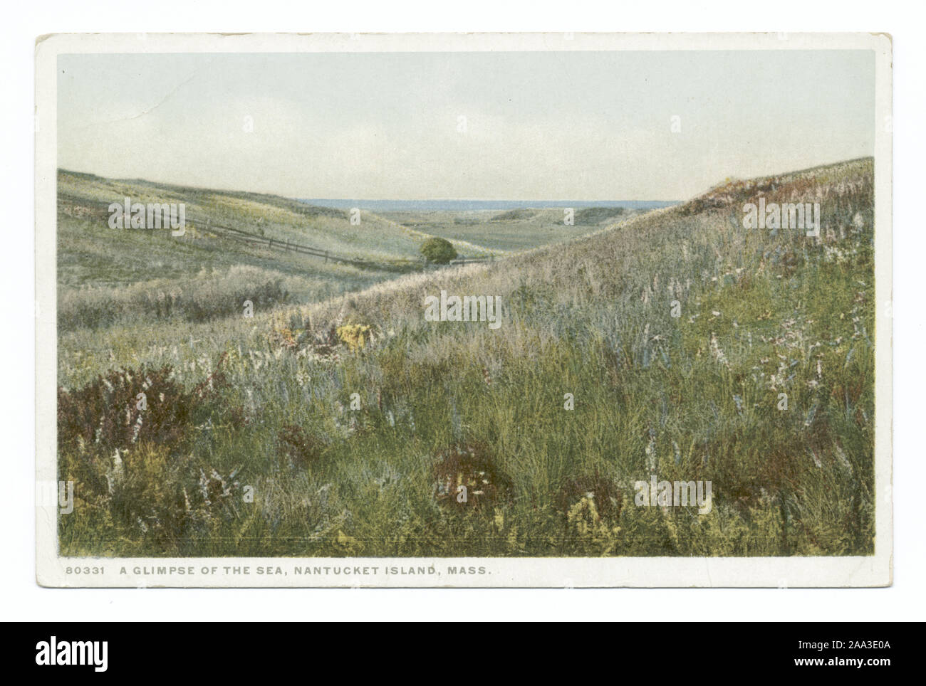 Glimpse life Cut Out Stock Images & Pictures - Alamy