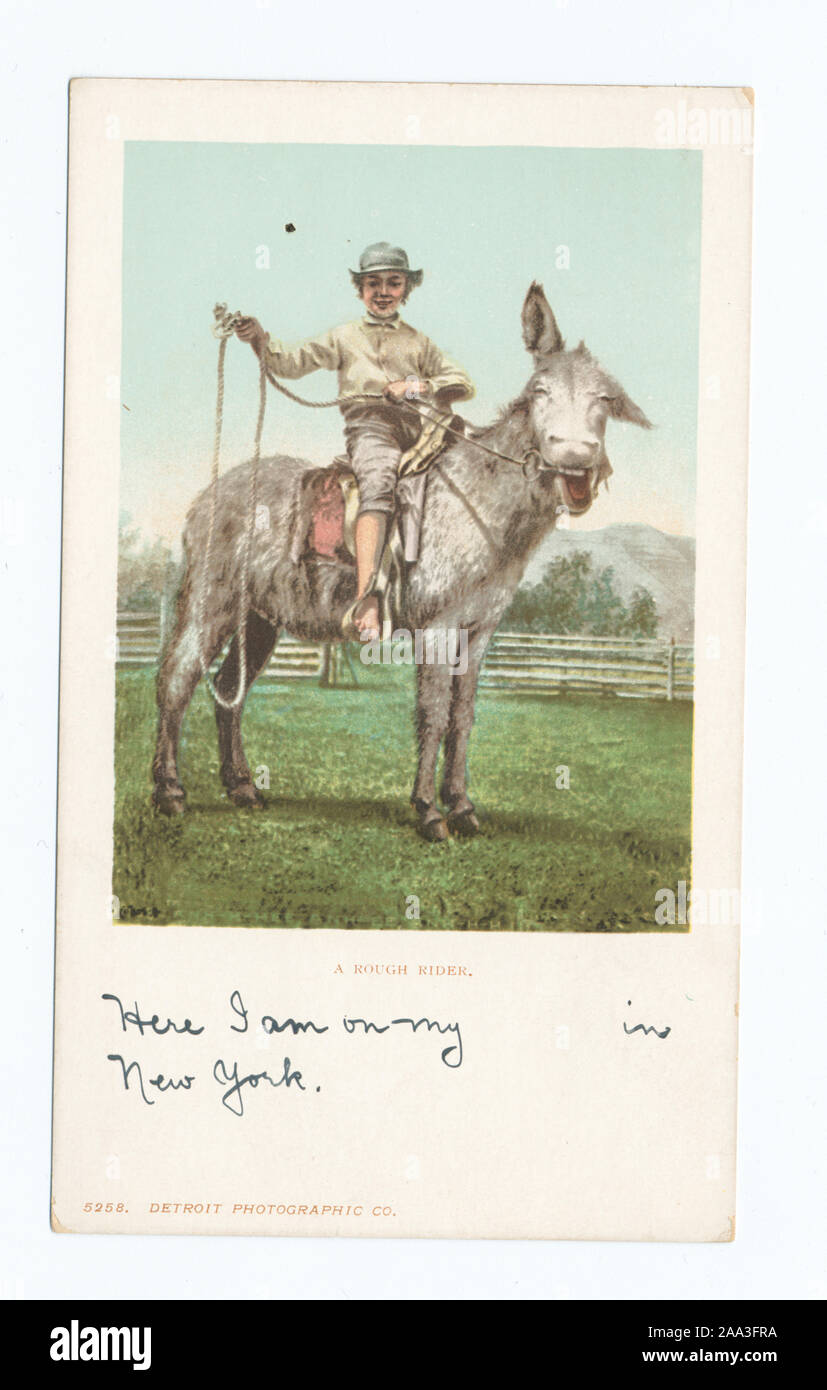 Burro rider hi-res stock photography and images - Alamy