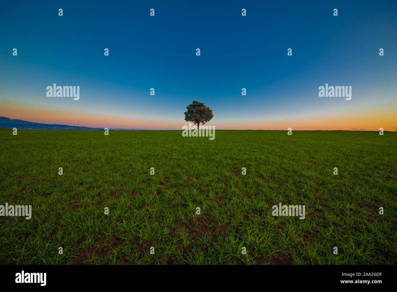 Desktop tree hi-res stock photography and images - Alamy