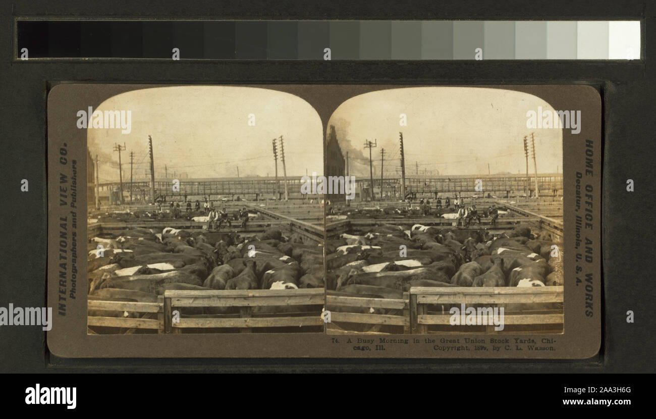 Chicago meat factory hi-res stock photography and images - Alamy
