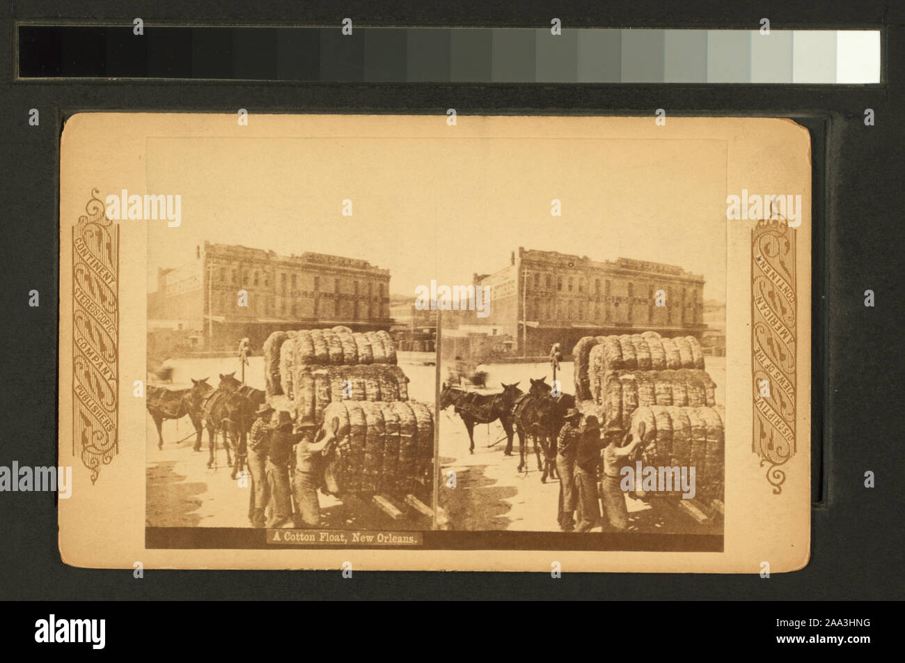 Cotton trade routes hi-res stock photography and images - Alamy