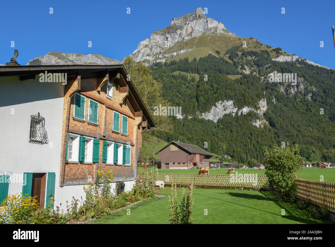 Rural landscape with traditional chalet at Engelberg on the Swiss alps ...
