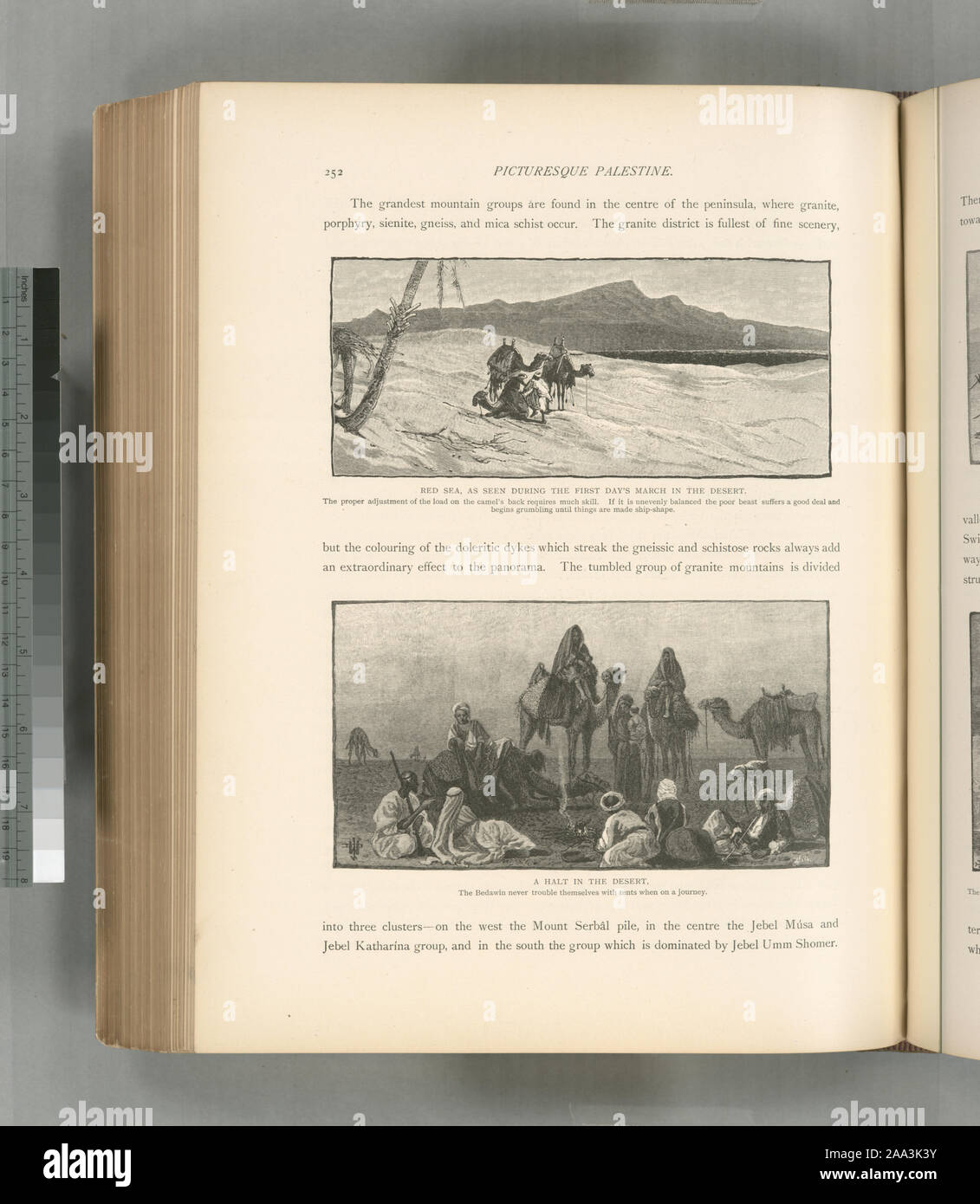 Colonel Wilson, ed.; A halt in the desert. The Bedawin never trouble ...