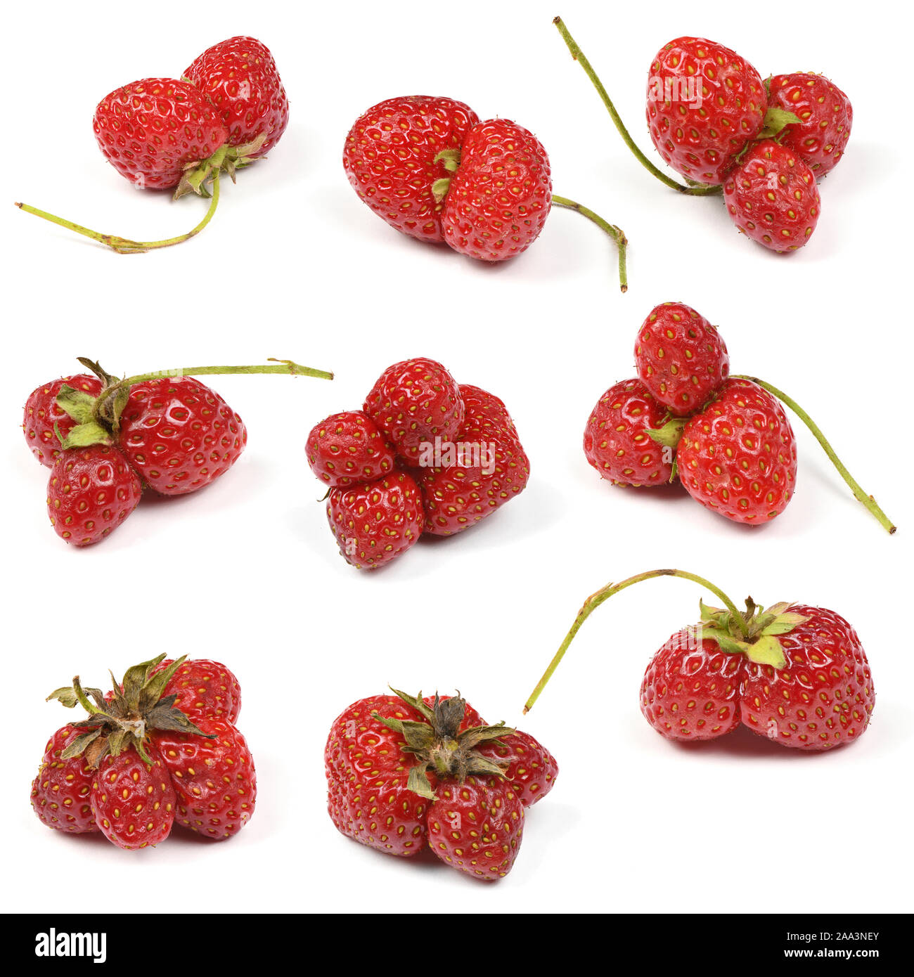 Nine ugly organic heirloom home grown strawberries isolated on White ...
