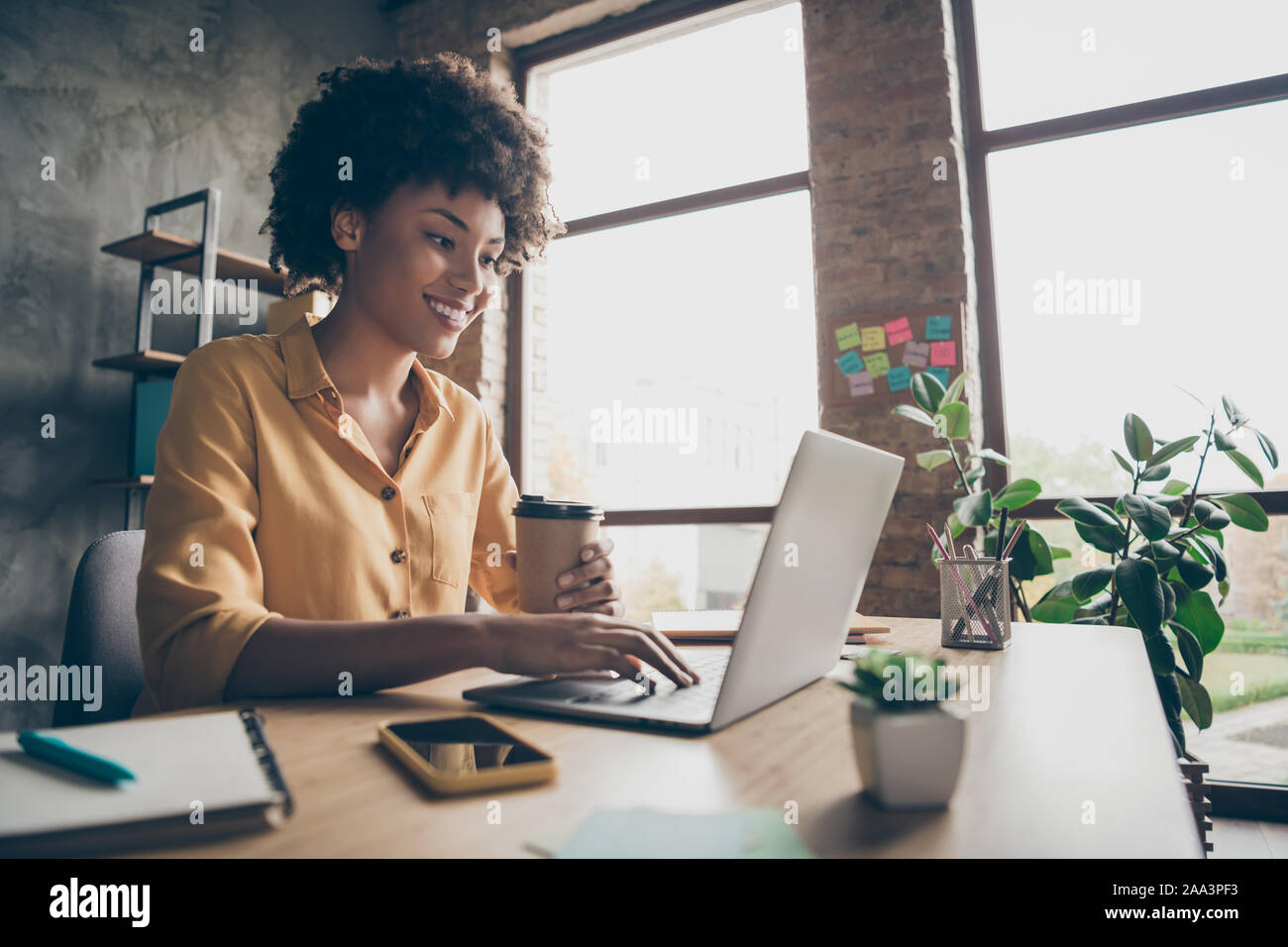 Entrepreneur computer hi-res stock photography and images - Alamy