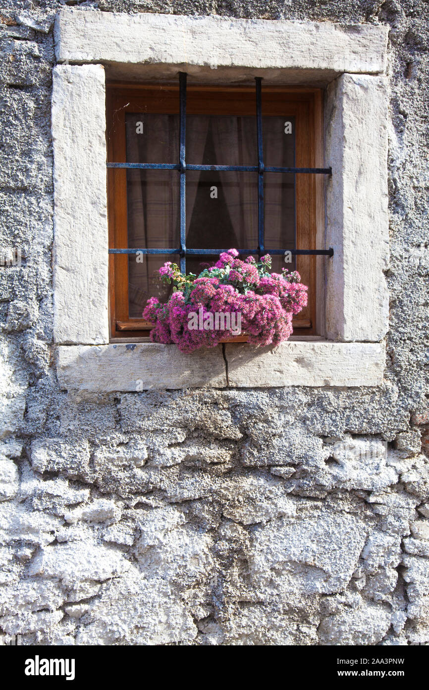 flowers on stone window Stock Photo - Alamy