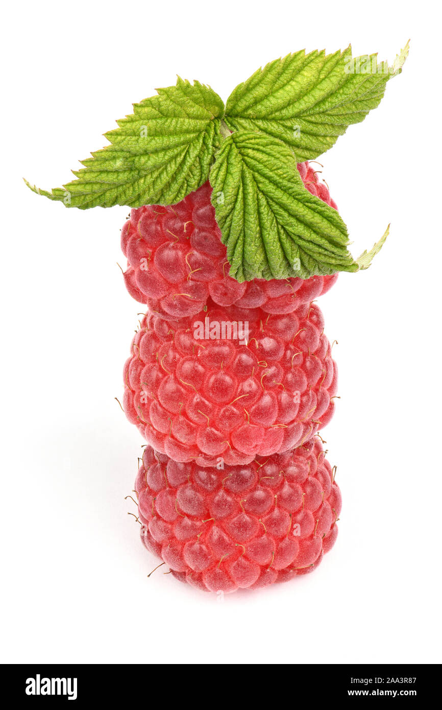 Three red raspberry berries isolated on white background. High ...