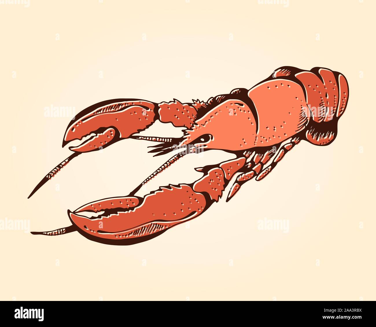 Lobster hand drawn vector illustration, seafood color isolated on beige ...