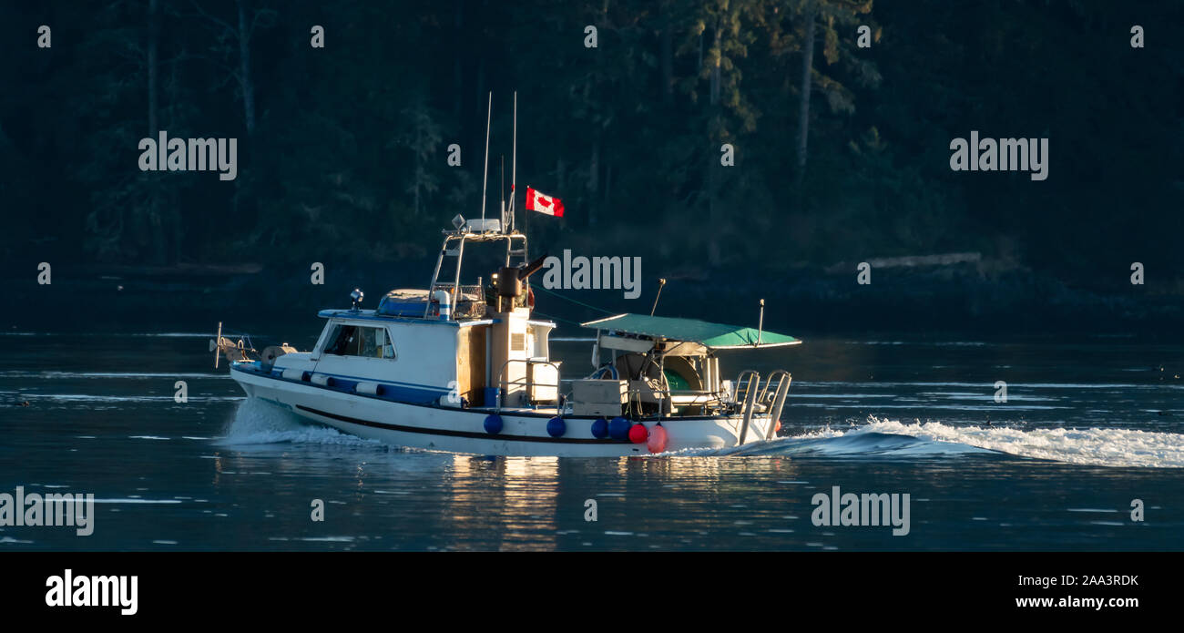 Fishing boat sailing in ocean, British Columbia, Canada Stock Photo - Alamy