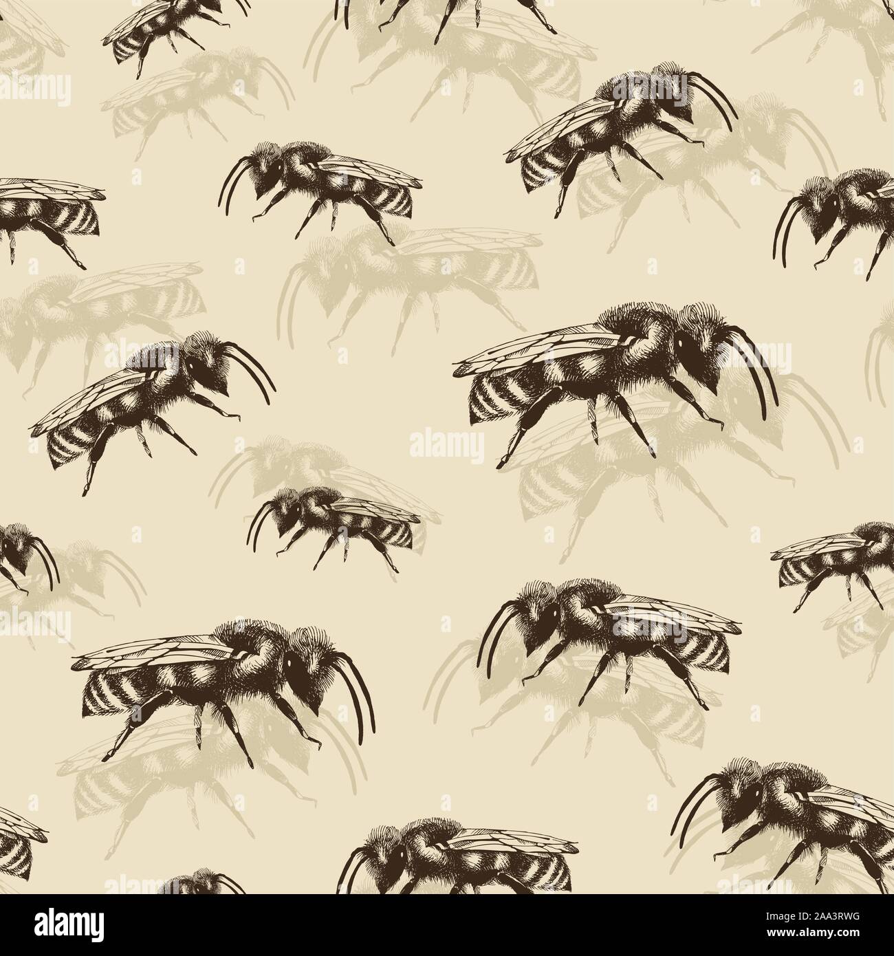 Honey bee color vector seamless pattern in engraving style on beige ...