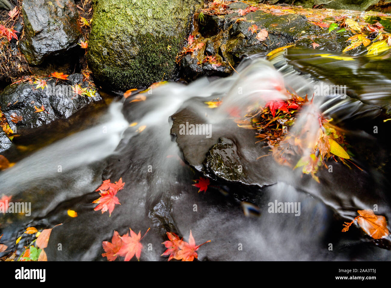 Stream water fall nature hi-res stock photography and images - Alamy