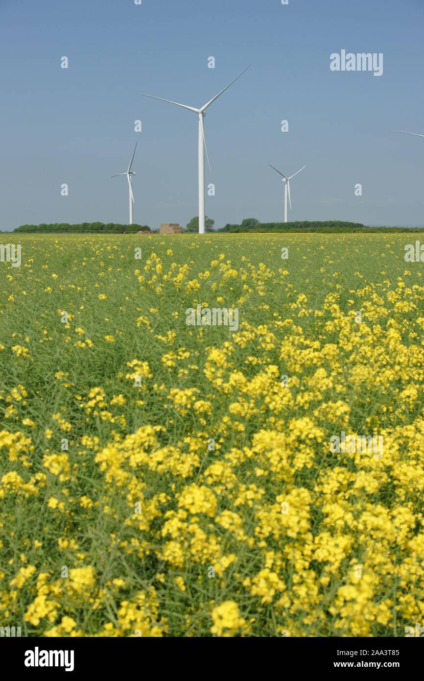 wind farm, wind power station Stock Photo - Alamy