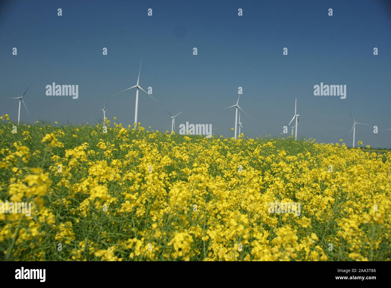 Wind farm wind power hi-res stock photography and images - Alamy