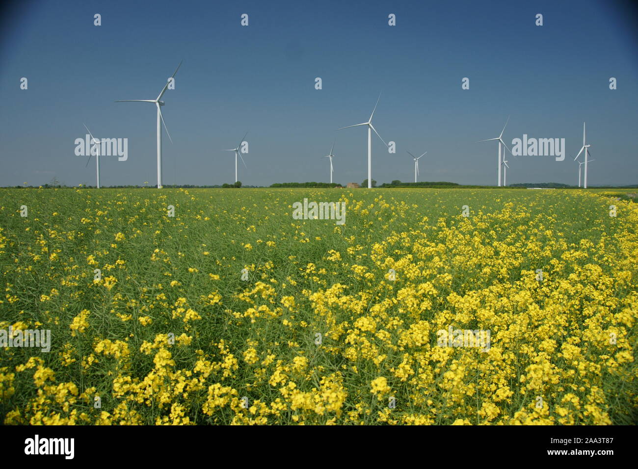 Wind farm wind power hi-res stock photography and images - Alamy