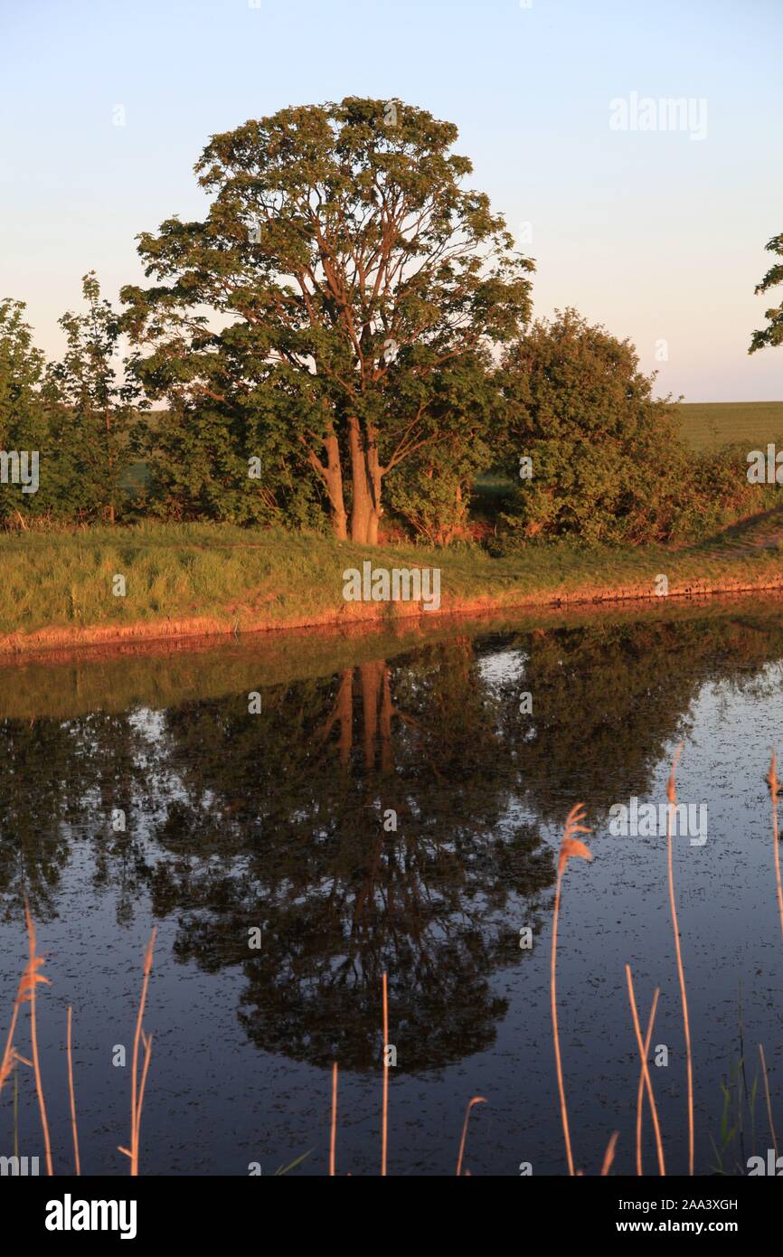 Pocklington town hi-res stock photography and images - Alamy