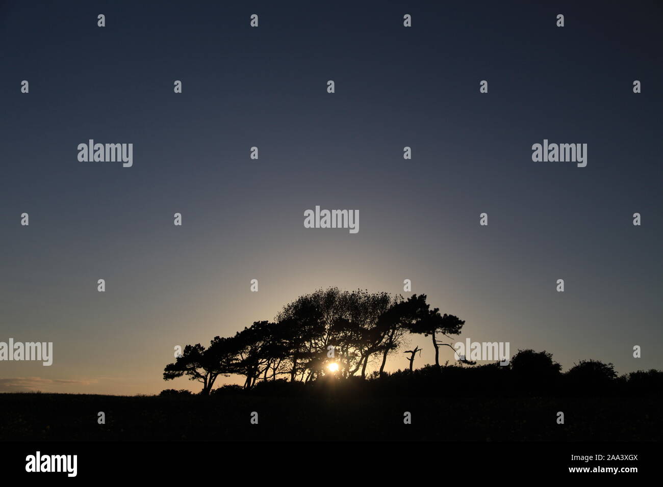 English countryside animals hi-res stock photography and images - Alamy