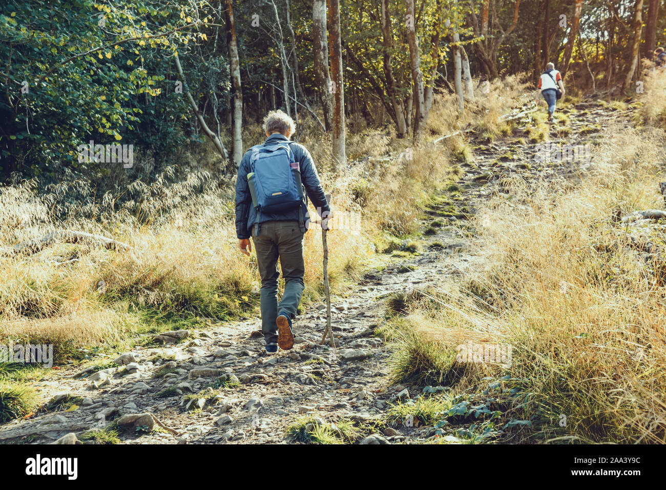 Hiker goes trekking poles hi-res stock photography and images - Alamy