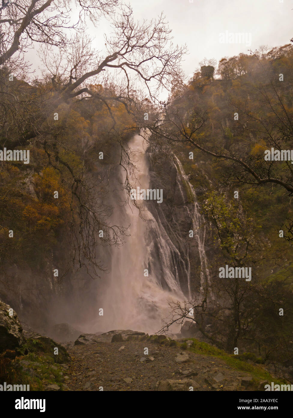 Aber Falls Waterfall in full flood after days of heavy rain Coedydd ...