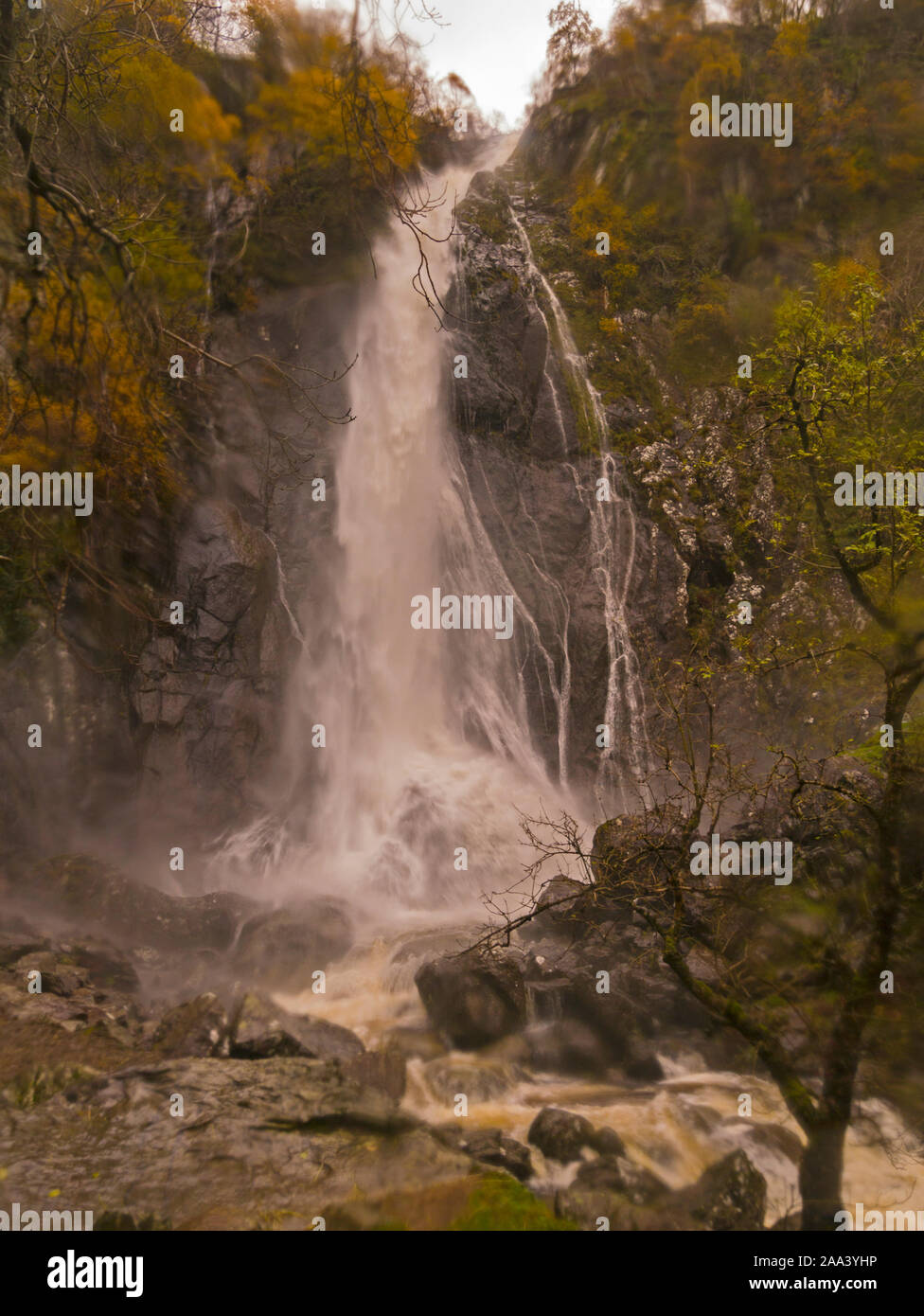 Aber Falls Waterfall in full flood after days of heavy rain Coedydd ...
