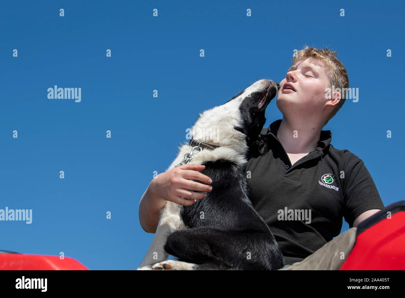 Teenage farm boy with his Border Collie sheepdog. Cumbria, UK Stock ...